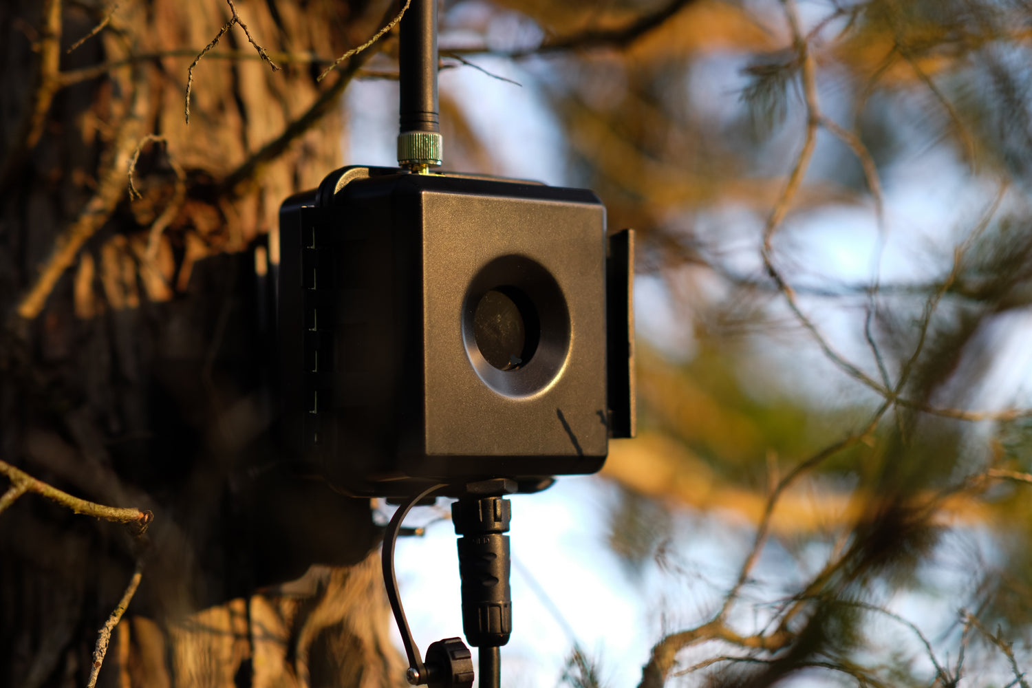 Product Support – BuckEye Cam