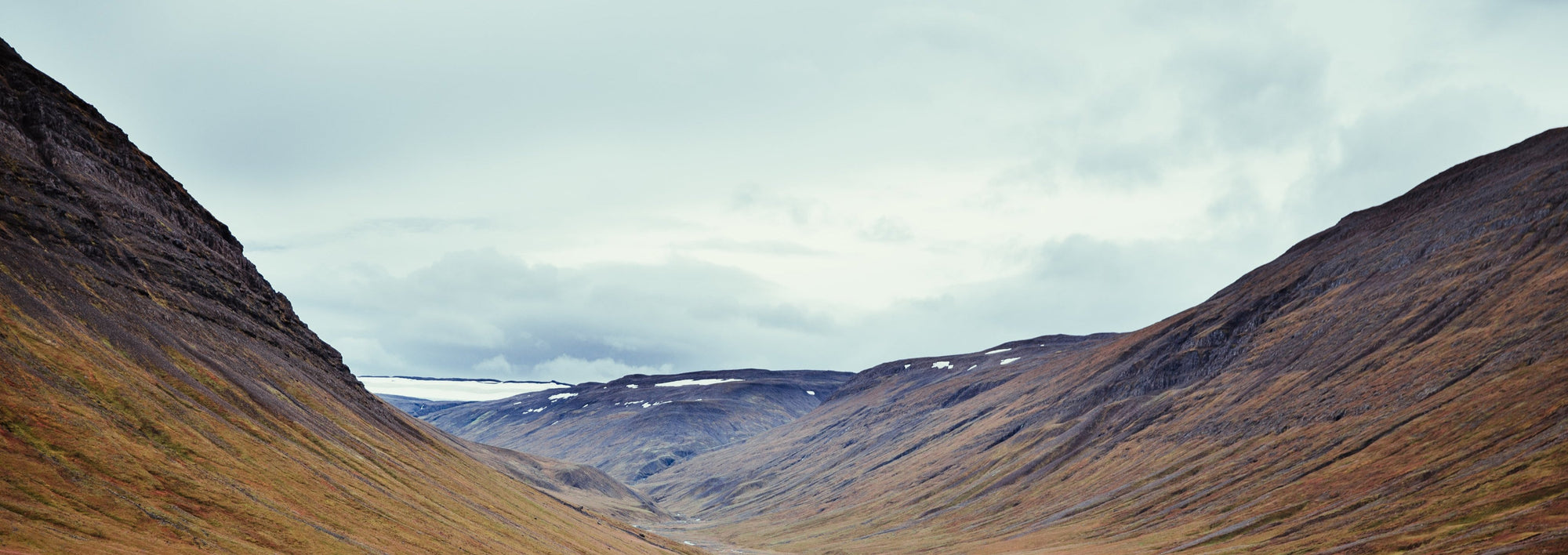 Downloads – BuckEye Cam